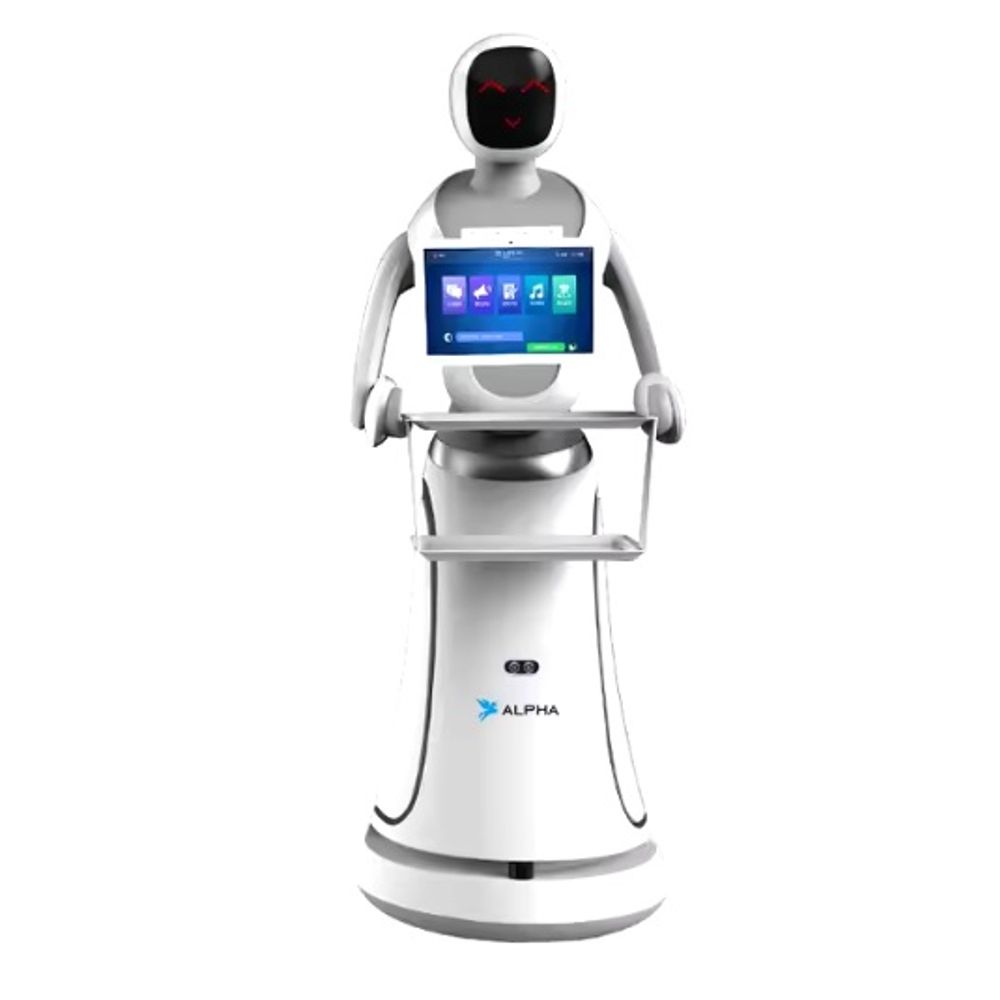 CSJ Humanoid Service Robot – Meanbuy